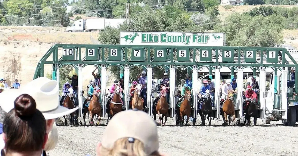 內華達賽馬教練施打禁藥，遭重罰10萬美元並禁賽15年