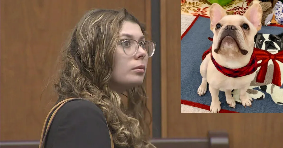 Bart Hanson 愛犬死亡案宣判，訓犬師認罪卻免坐牢引發公憤